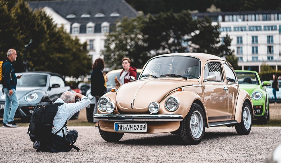 Die Beetle Wiese - Beetle Sunshinetour